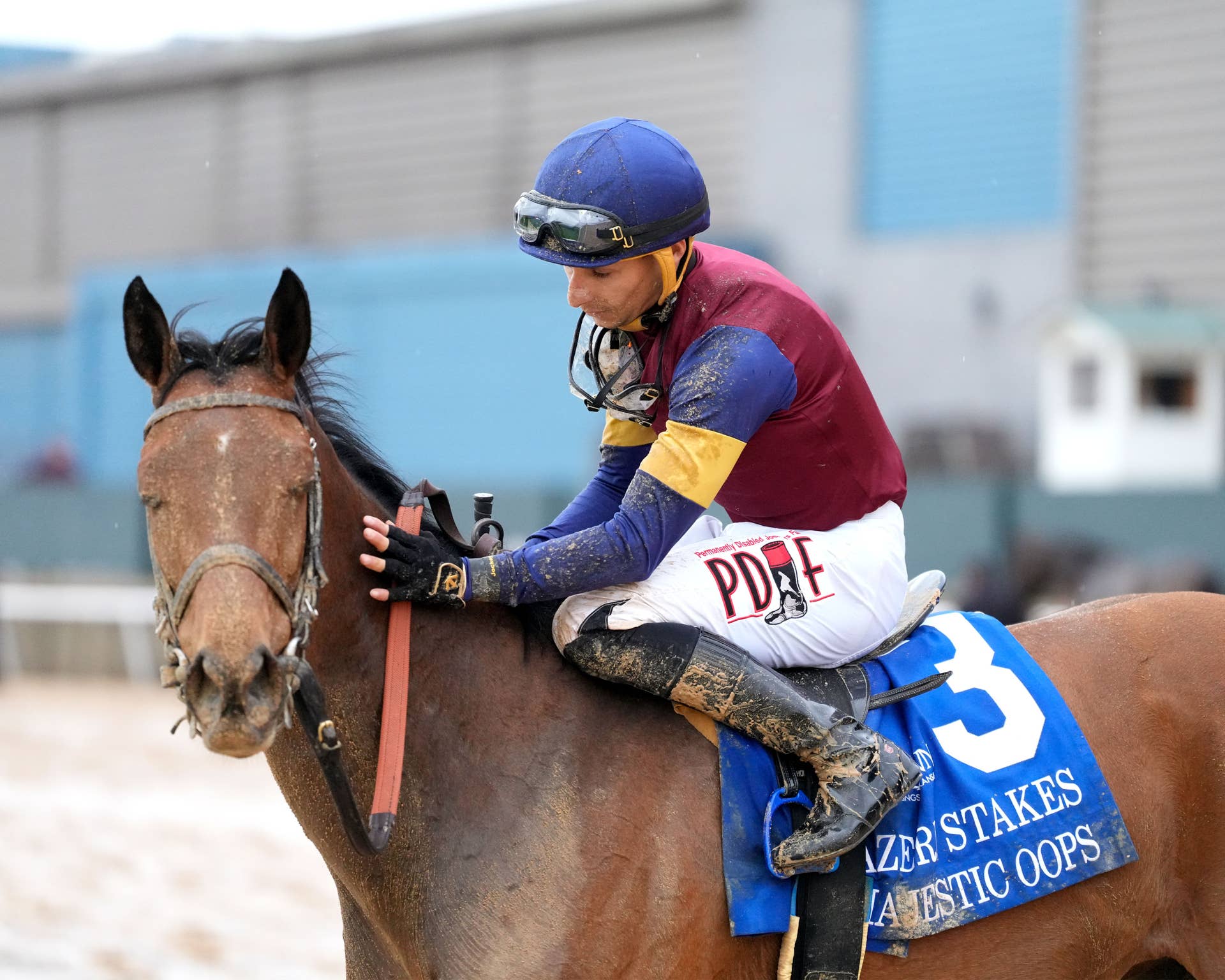 White Abarrio Sidelined By Illness, Will Miss John A. Nerud - Paulick ...