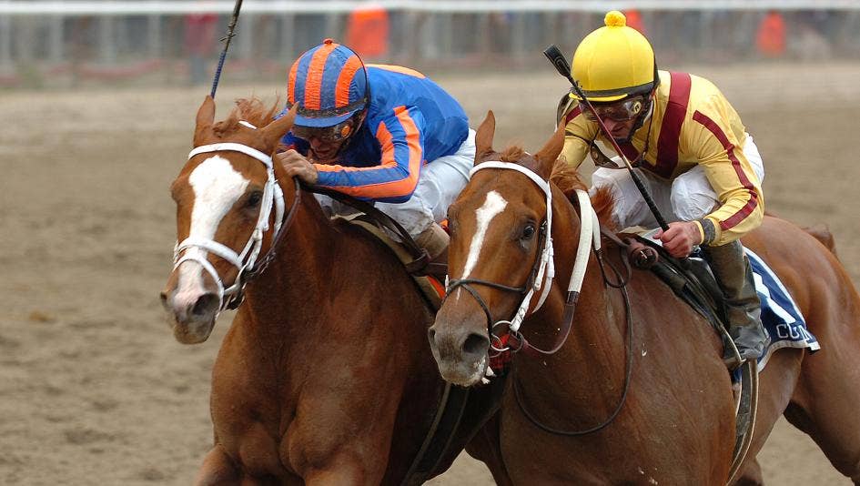 'A Truly Talented Racehorse': Champion Rags To Riches Dies At Age 21 ...