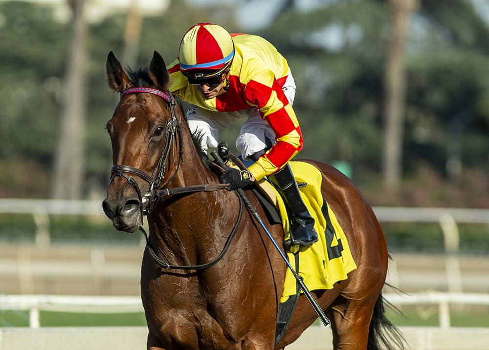 Queen Of The Mud Successfully Ships West To Win Monday's Swingtime ...