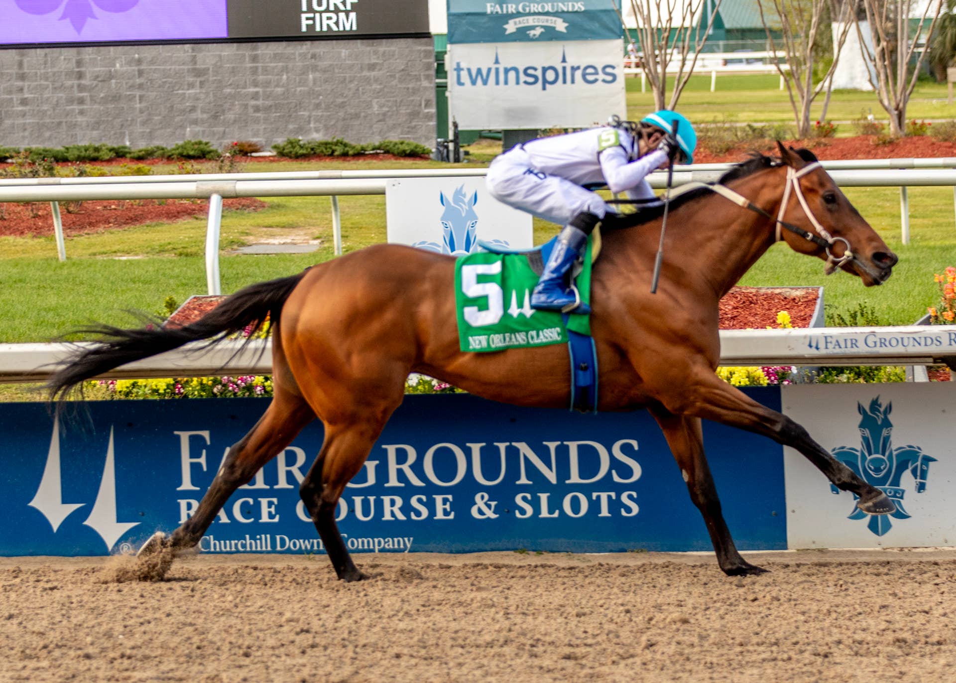 Four-Peat? Touchuponastar Heavily Favored To Score Another Louisiana ...