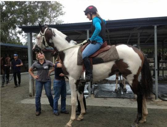 Painting a Clear Picture: Unique Aussie Thoroughbred Wins Racecourse ...