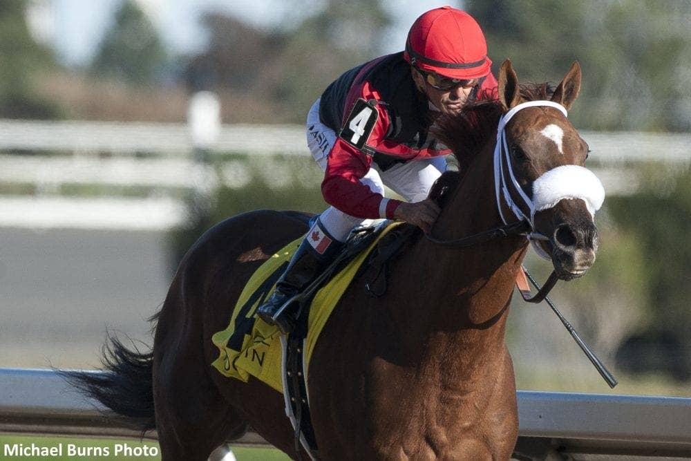 Melmich Aims For Sixth Consecutive Victory In Sunday's Autumn Stakes ...