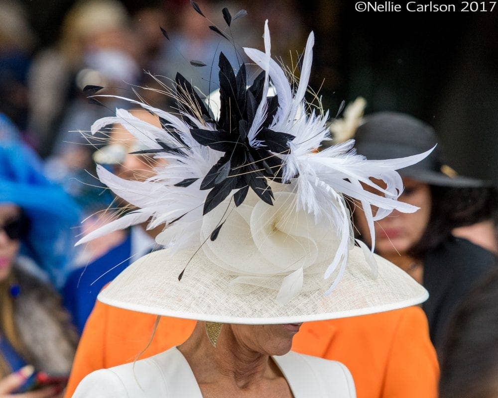 Kentucky Derby Museum Opens Exhibit Surveying 150 Years Of Derby ...