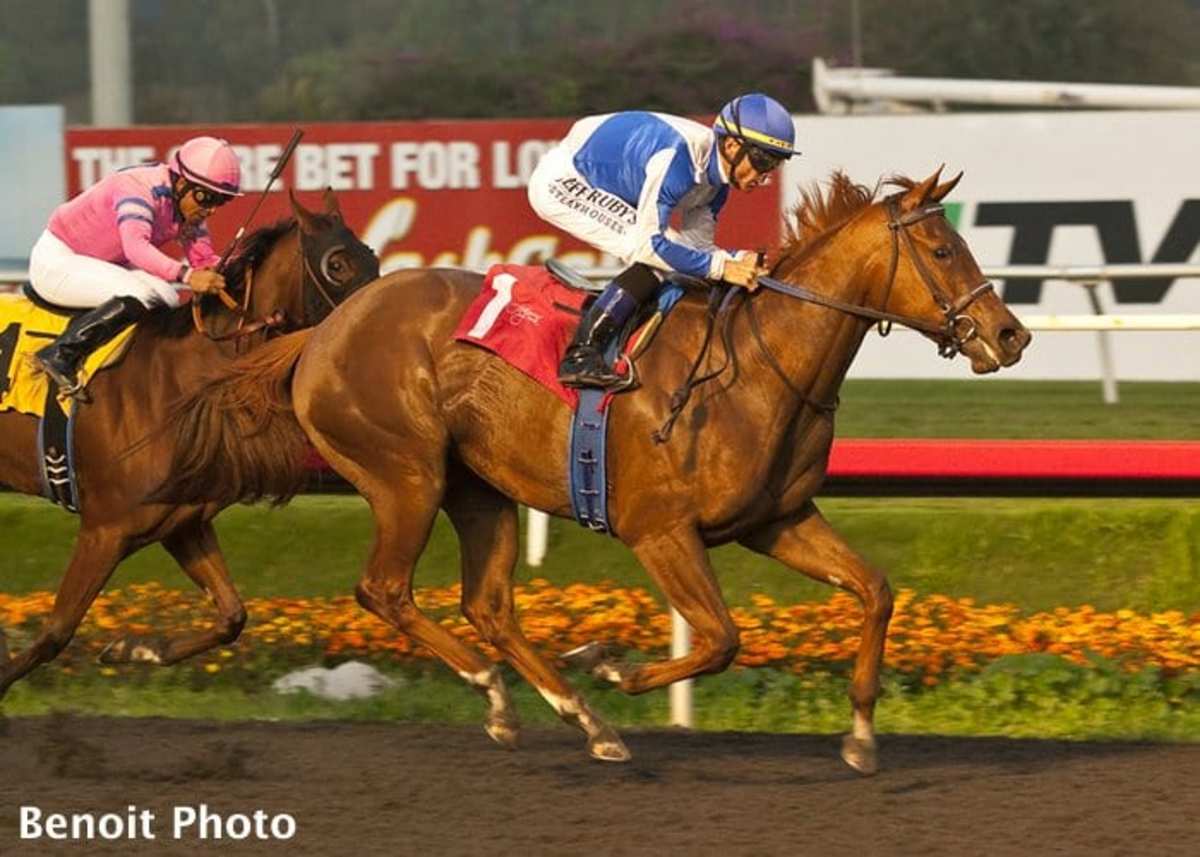 Pure Fun Takes on the Boys in Coolmore Lexington - Horse Racing News ...