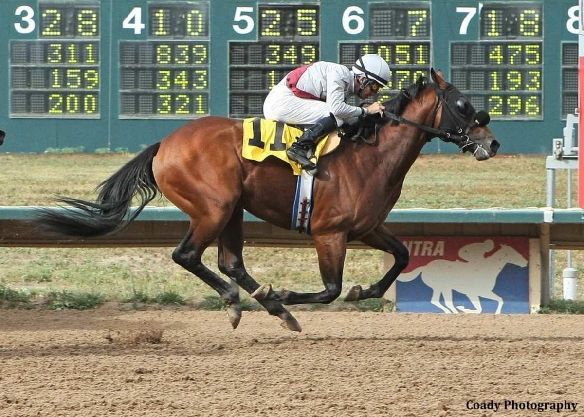 BC Turf Sprint: Colorado Proud of Chips All In - Horse Racing News ...
