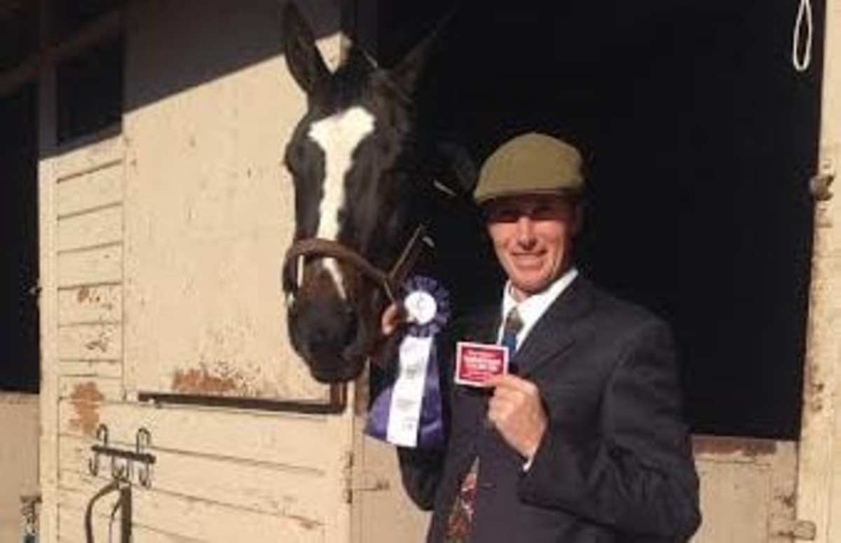 Santa Anita Stewards Suspend Trainer Carl O'Callaghan - Horse Racing ...