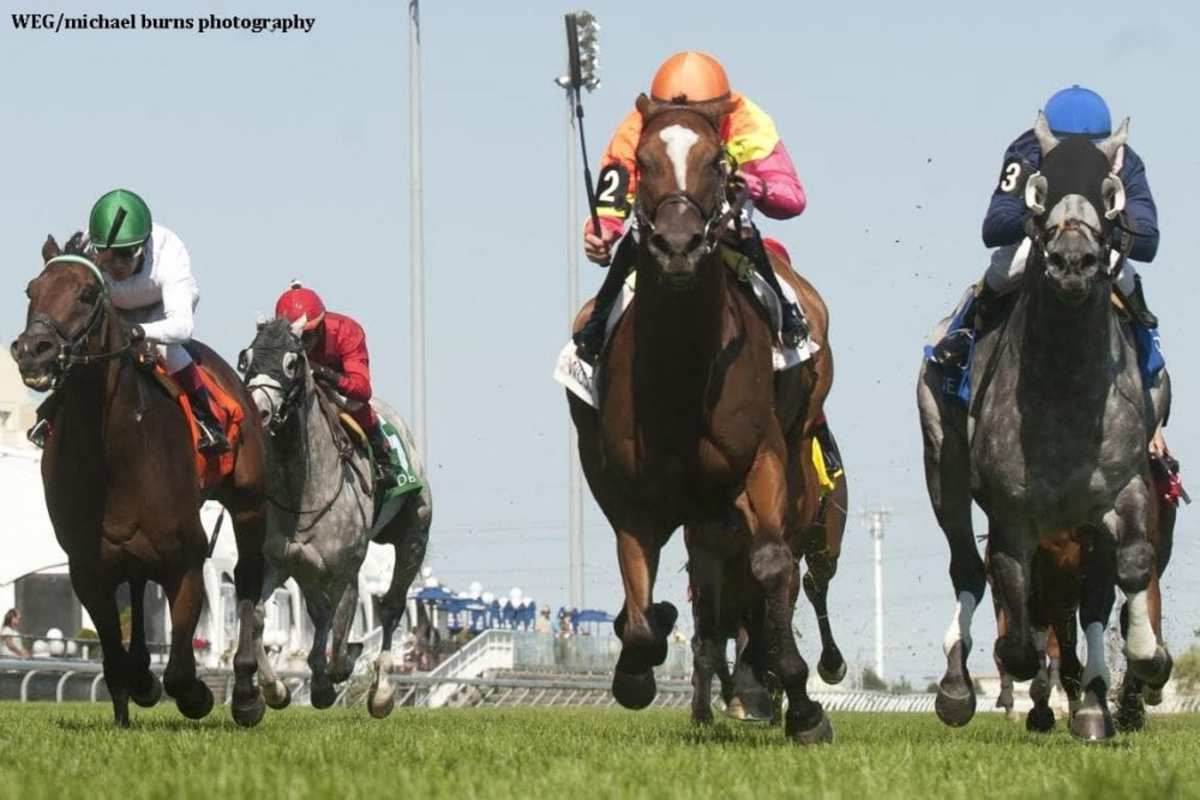 Grand Arch Flies Late in King Edward - Horse Racing News | Paulick Report