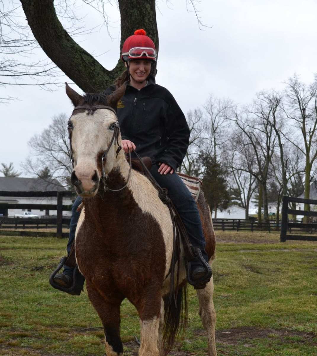 Inside The North American Racing Academy: Testing Times - Horse Racing ...