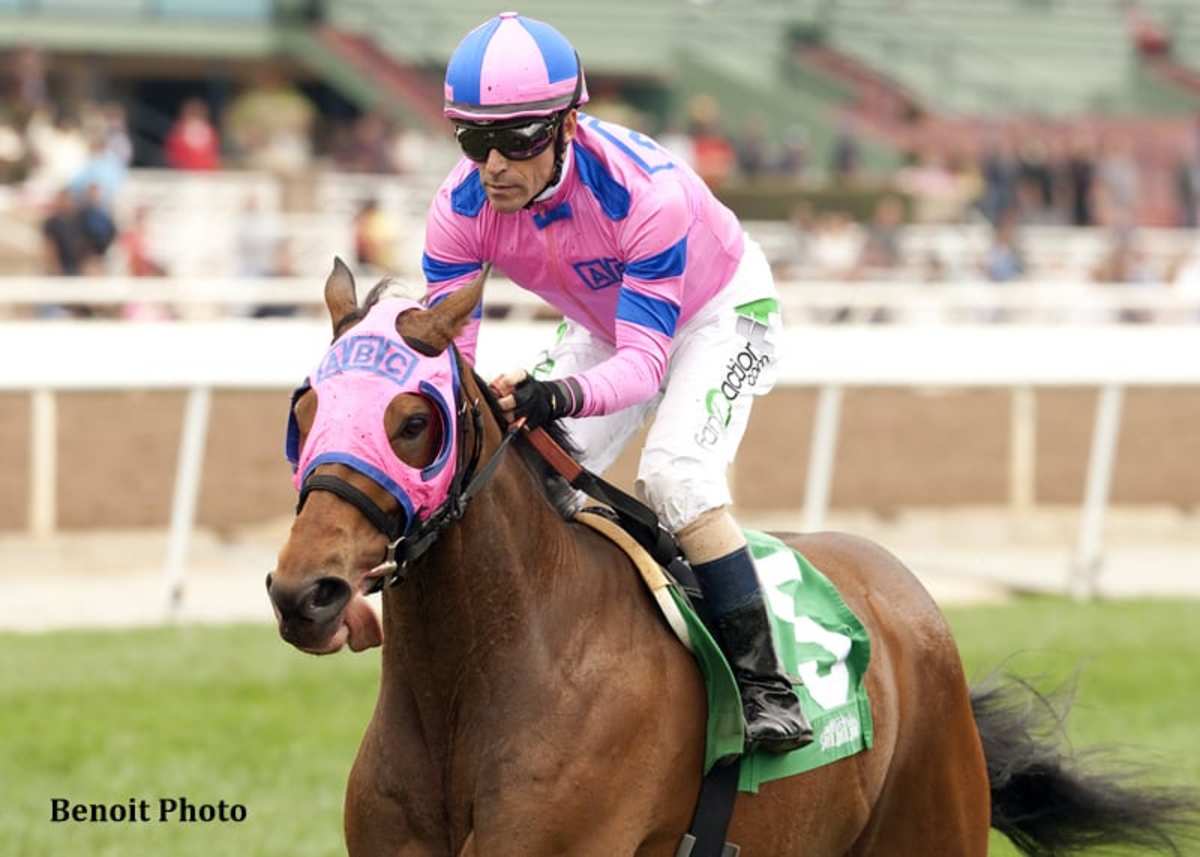 Owner Of Ashleyluvssugar, Champagne Room Dies At 83 - Horse Racing News ...