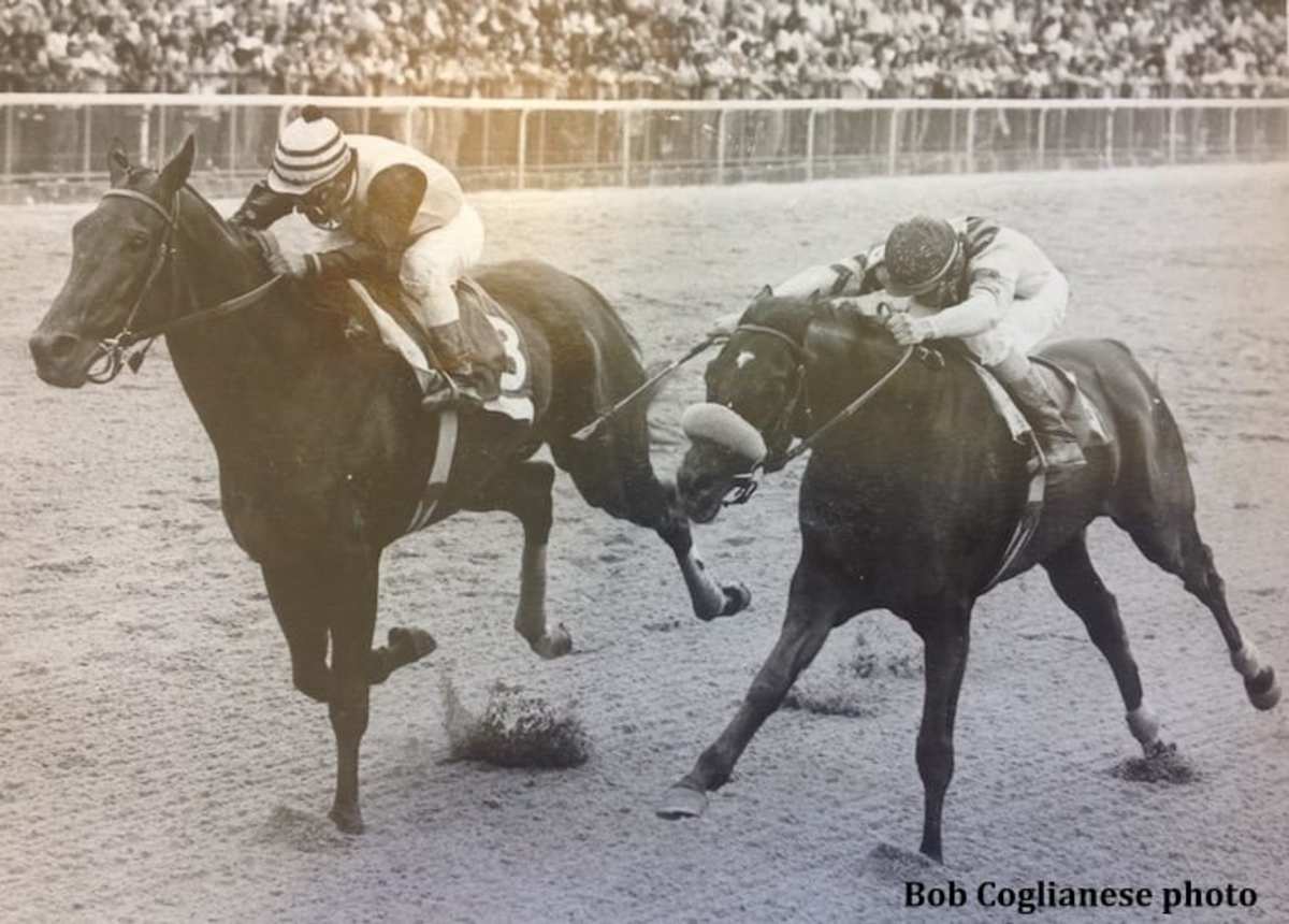 Forego: 'He Just Knew Where The Wire Was' - Horse Racing News | Paulick ...