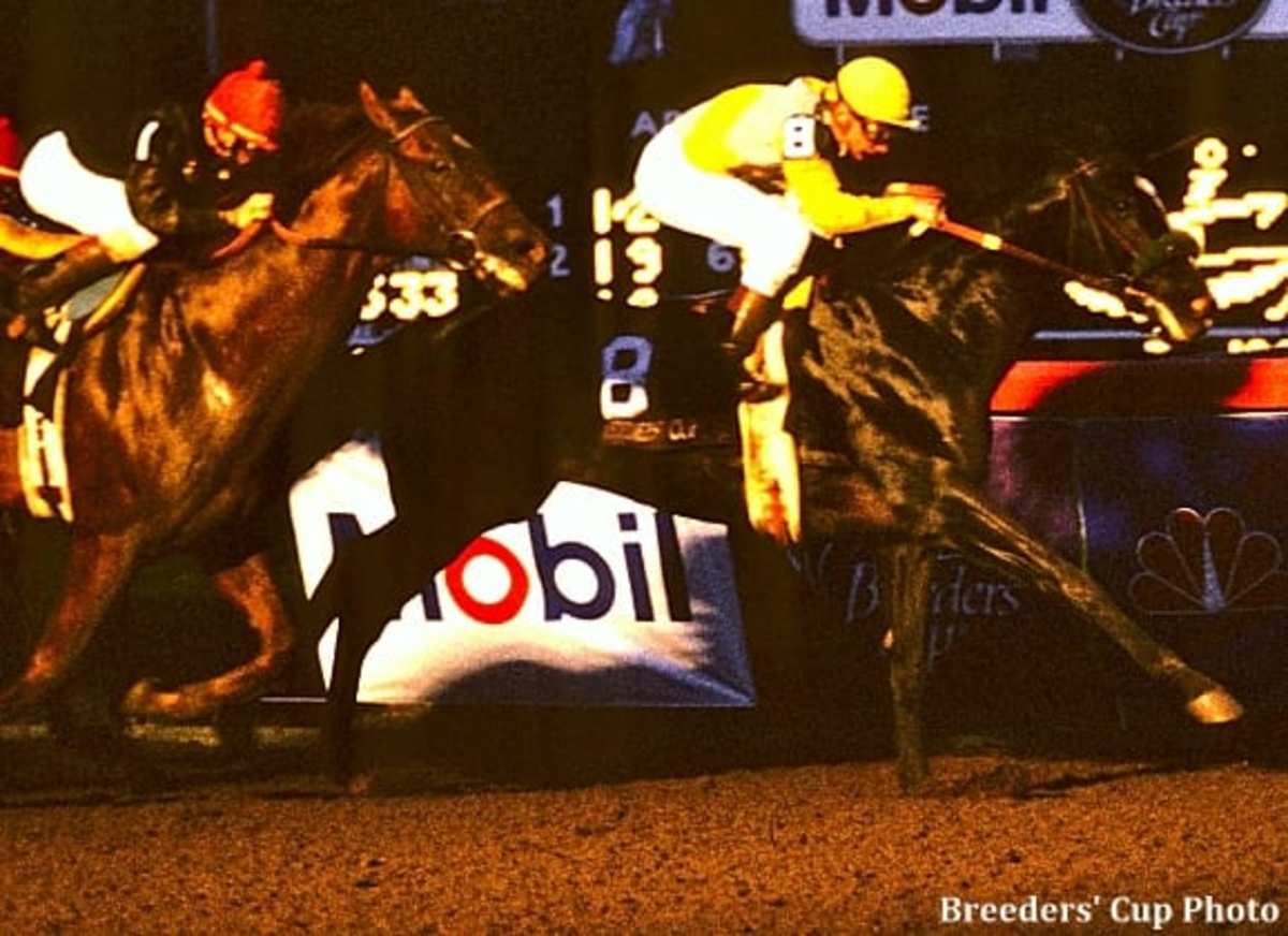 Top Japanese Sire Fuji Kiseki Dies At 23 - Horse Racing News | Paulick ...