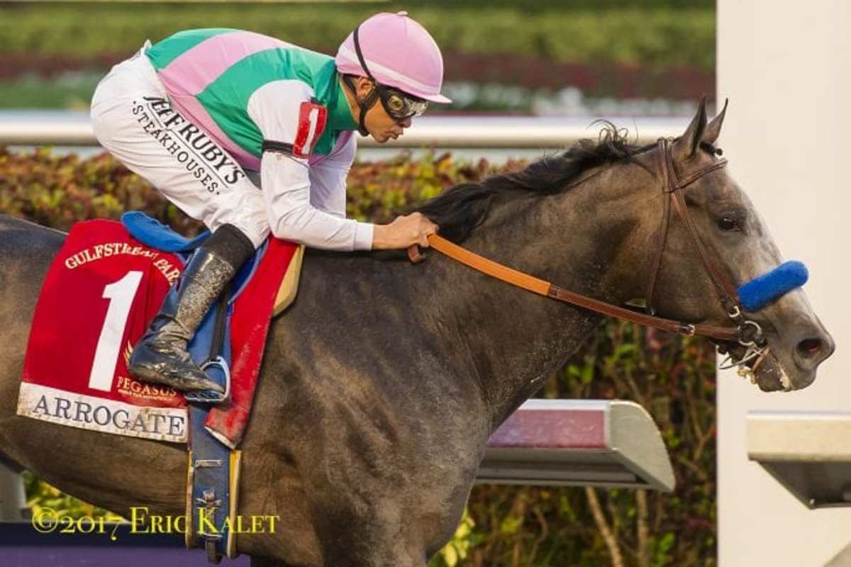 Arrogate Trabaja 1400 Metros Y Ajusta Aun Mas Su Condición - Horse ...