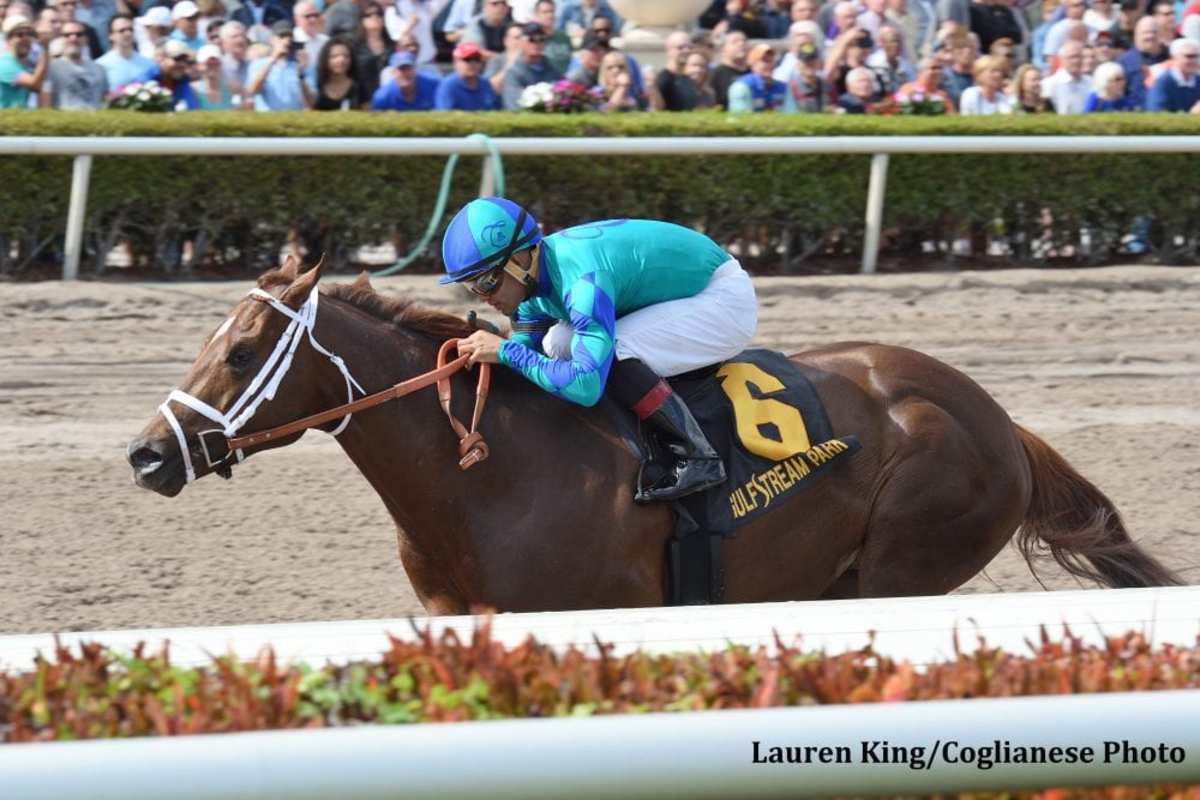 Two Turns Could Be Next For Strike Power After Easy Swale Win - Horse ...