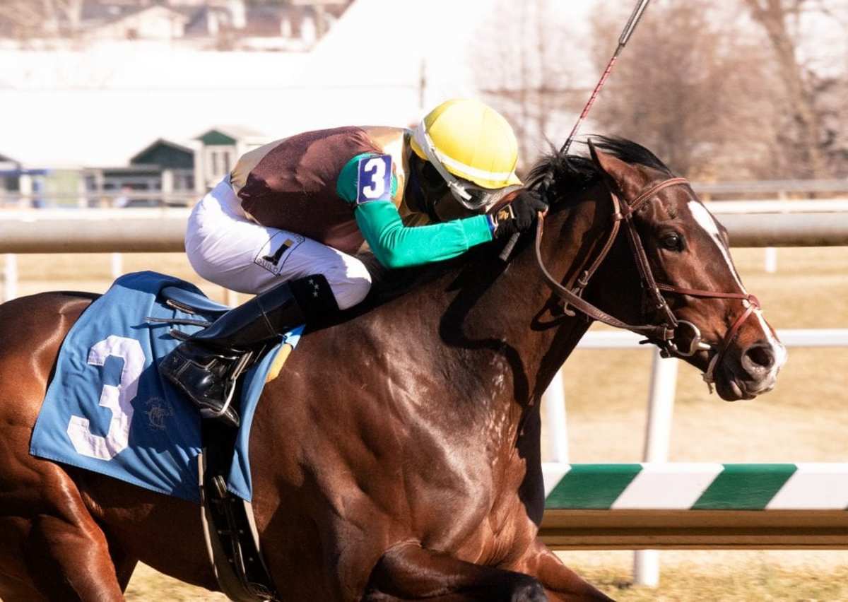 Alwaysmining 'Impressed' Trainer In Breeze For Federico Tesio - Horse ...