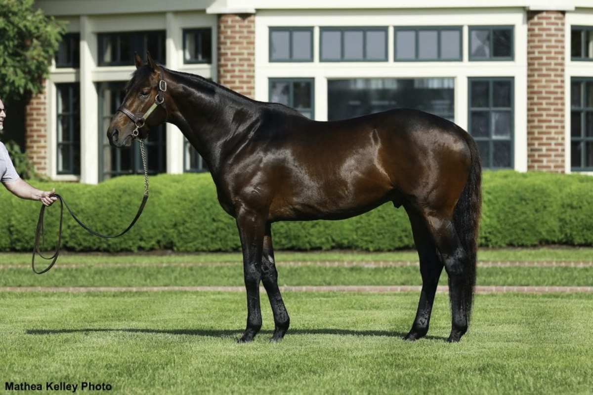 The 2021 Freshman Sire Yearbook: Sorting Out The Podium Behind Gun ...