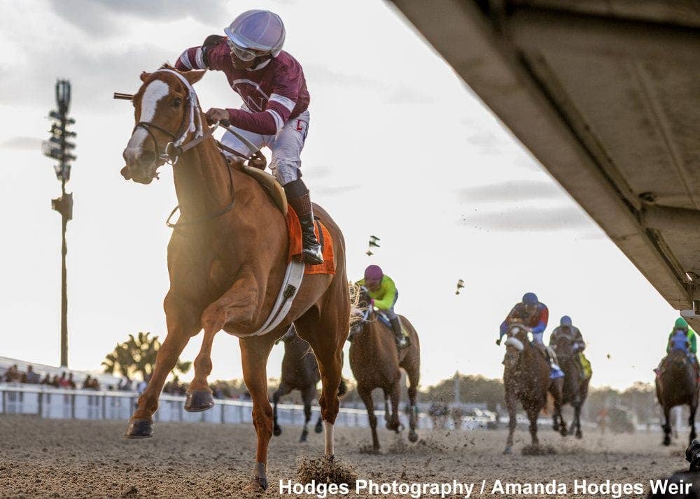 Finite Kicks Away From Champion British Idiom In Rachel Alexandra ...