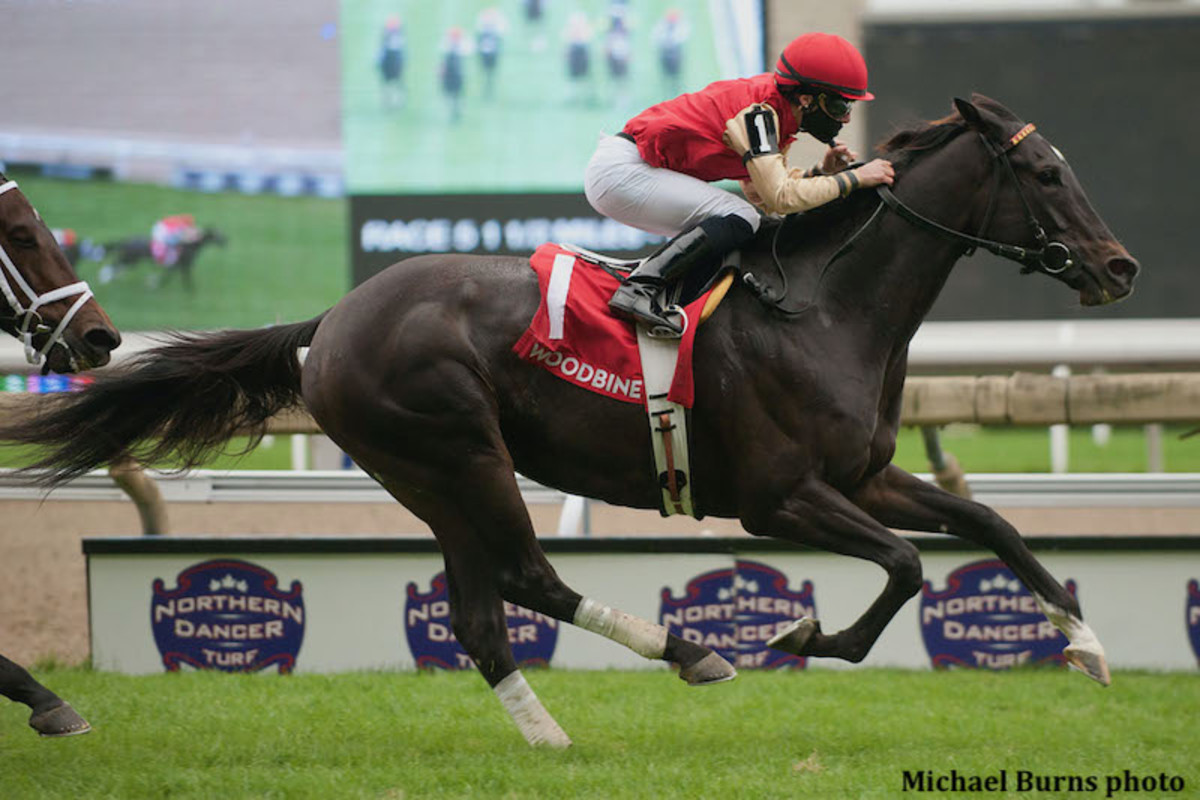 Say The Word Closes Late For Northern Dancer Turf Stakes Victory ...