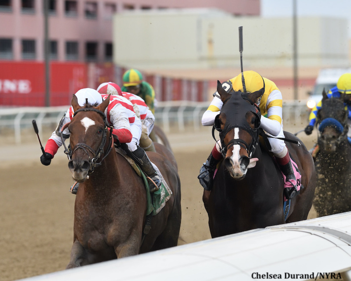 Weyburn 'Bred To Have The Stamina And Built To Handle The Distance' Of ...