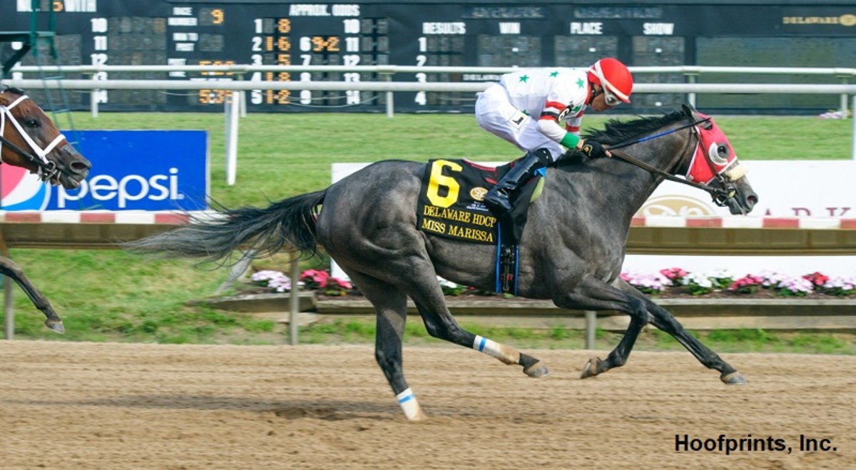 'Stronger, Faster' Miss Marissa Returns In Turnback The Alarm - Horse ...