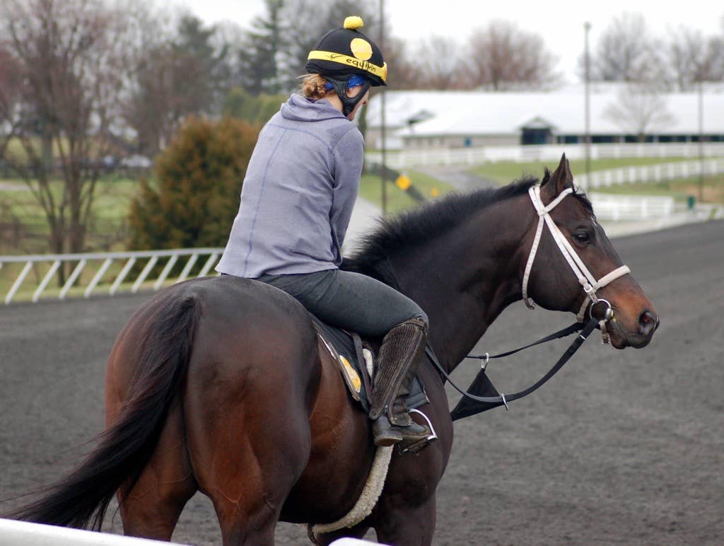 To Bandage Or Not To Bandage: Decoding Thoroughbred Leg Wrappings ...