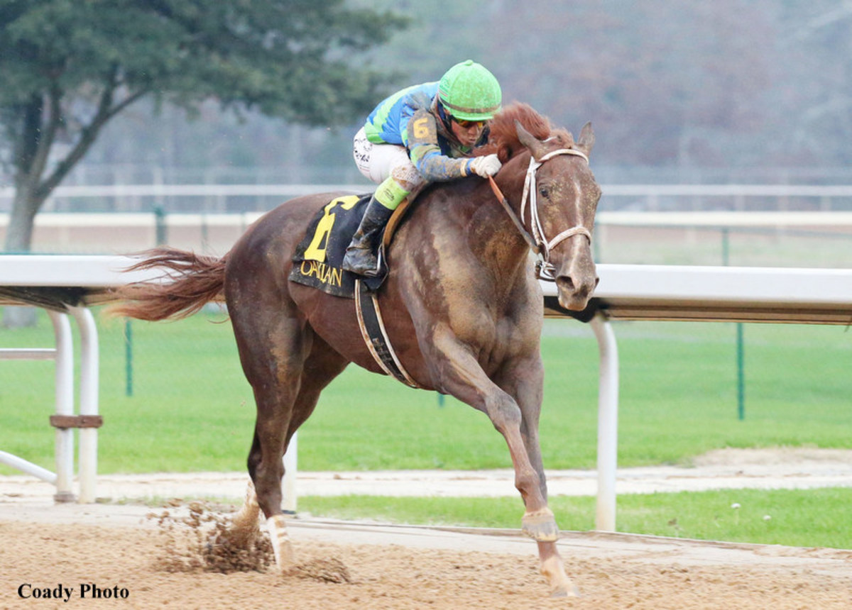 Breeders’ Cup Presents Connections: Mitchells ‘Happy To Take The Ride ...