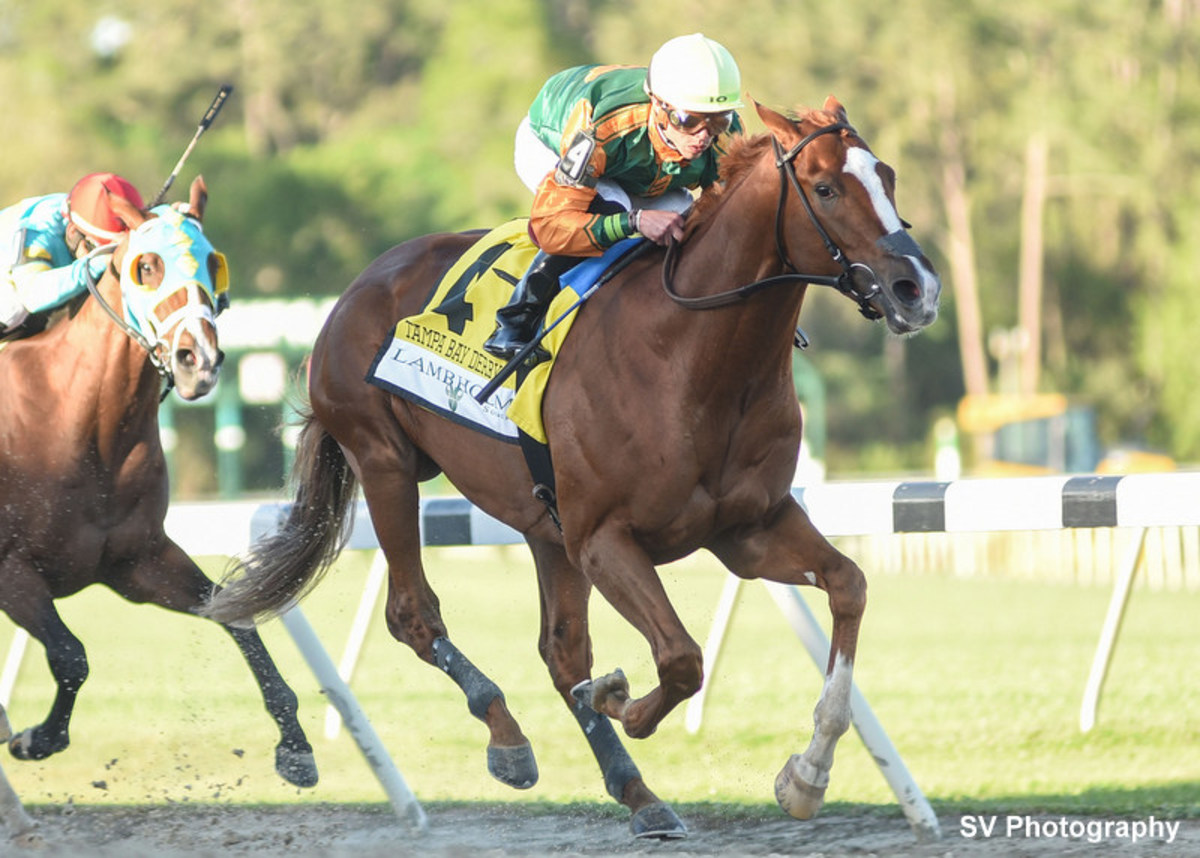 Tampa Bay Downs’ Festival Card Shatters Track Wagering Records - Horse ...