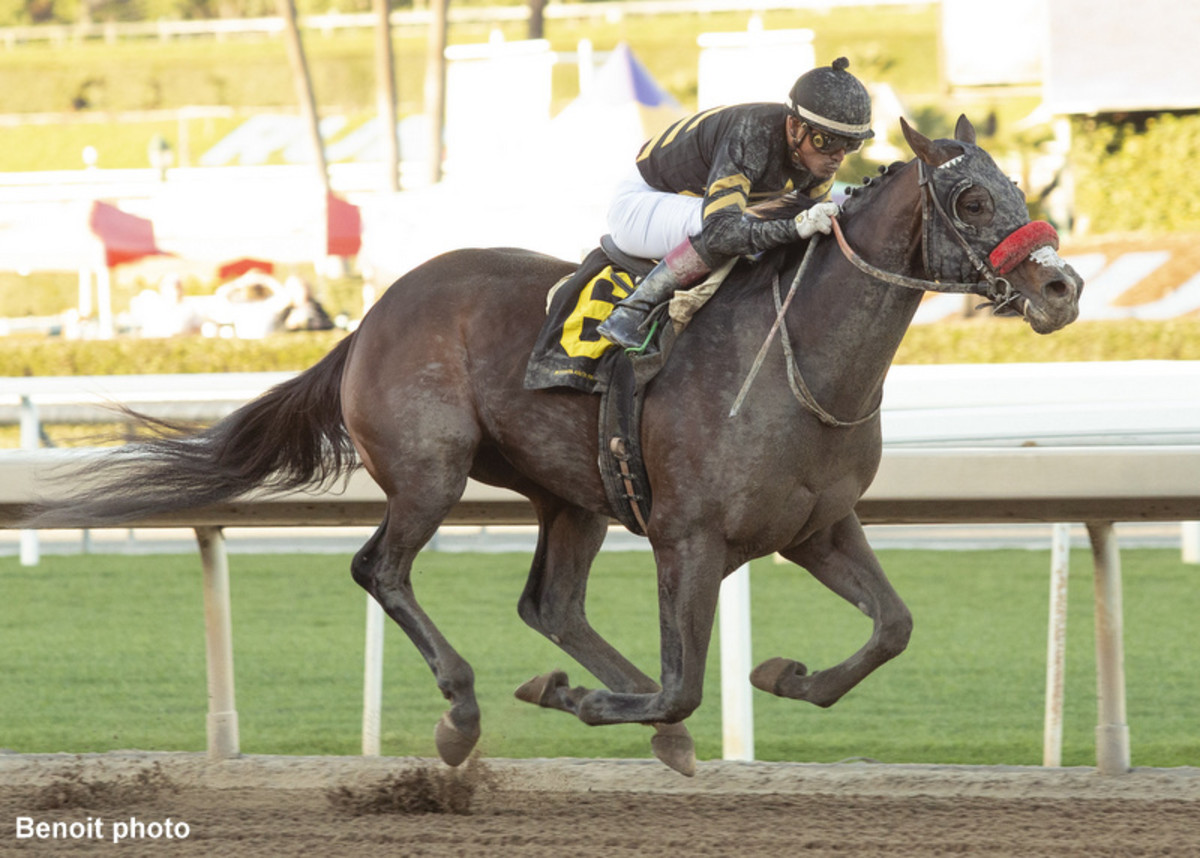 O’Neill To Bid For Third KY Derby Win With Calumet’s Happy Jack - Horse ...