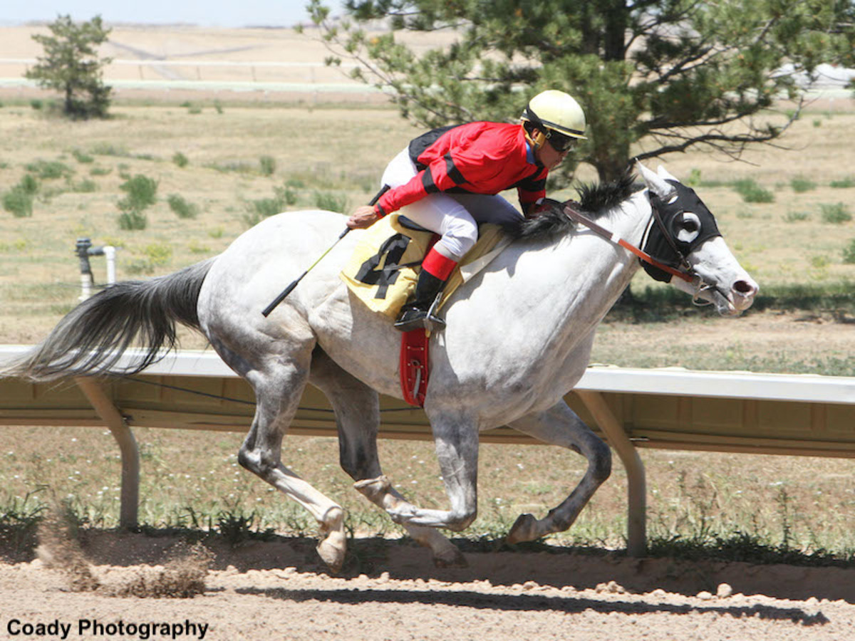 Horowitz On OTTBs Presented by Excel Equine: Grand Lily’s Retirement ...