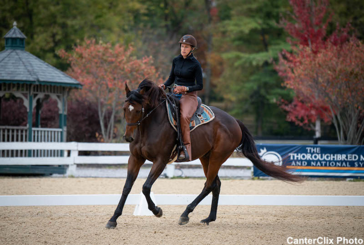 Western Dressage: The Perfect Fit For The OTTB - Horse Racing News ...
