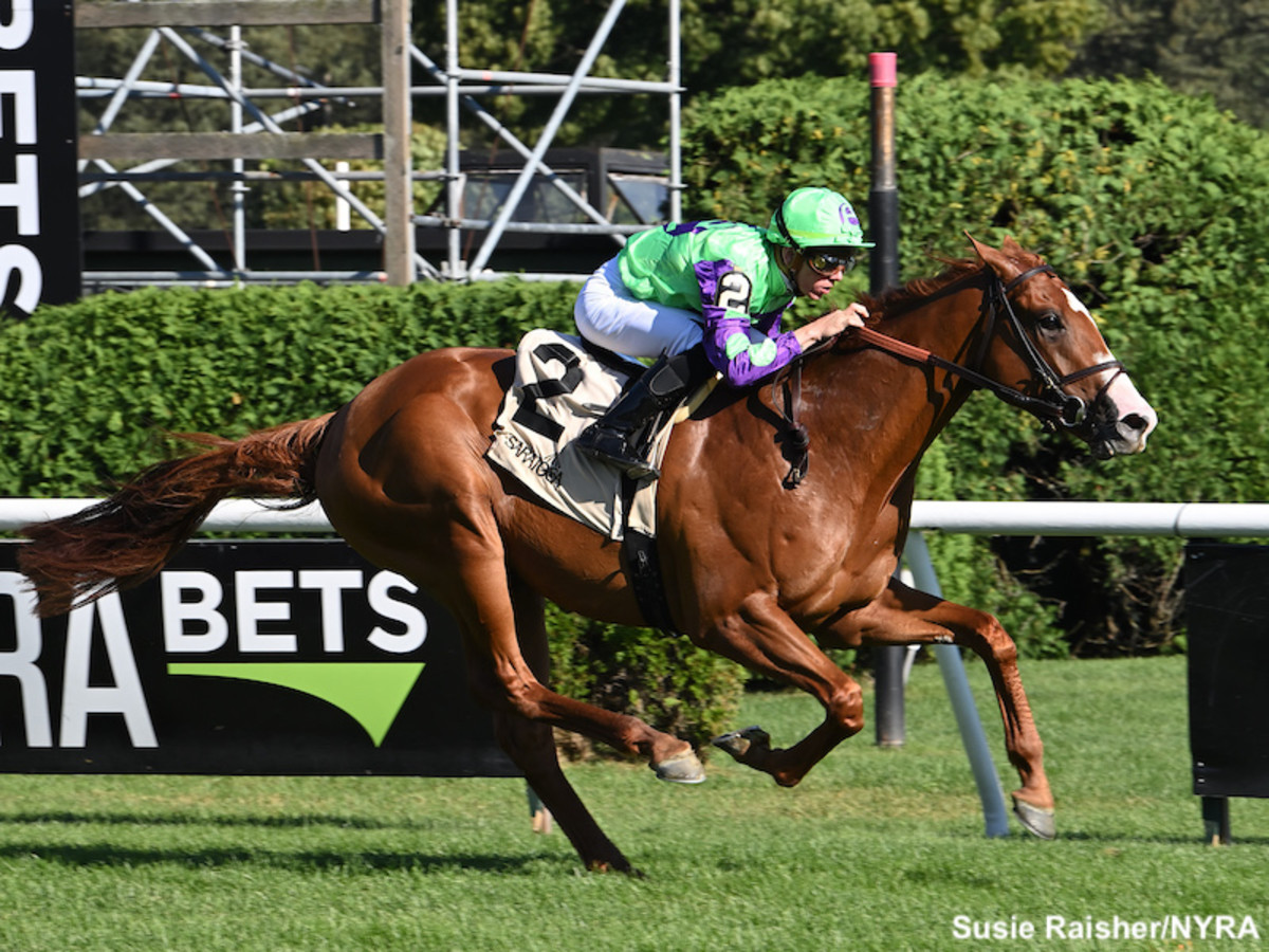 Carl Spackler Loops Field To Win National Museum Of Racing Hall Of Fame ...
